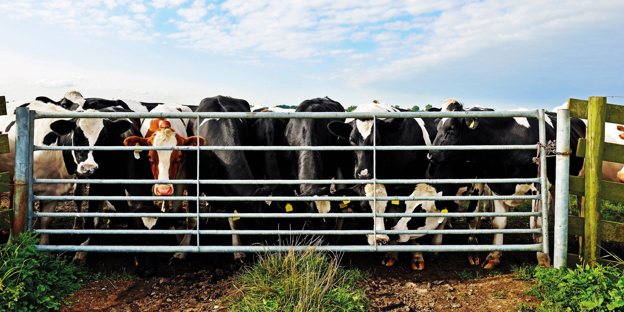 PROTECTING AGRICULTURAL STEEL WITH CORBETTS’ GALVANIZING SOLUTIONS FOR ...